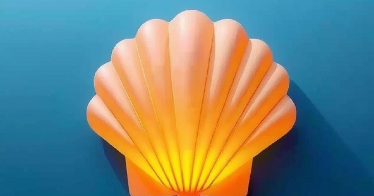 Emerging Trends in Shell Design and Usage – News – Basheer Sea Shells
